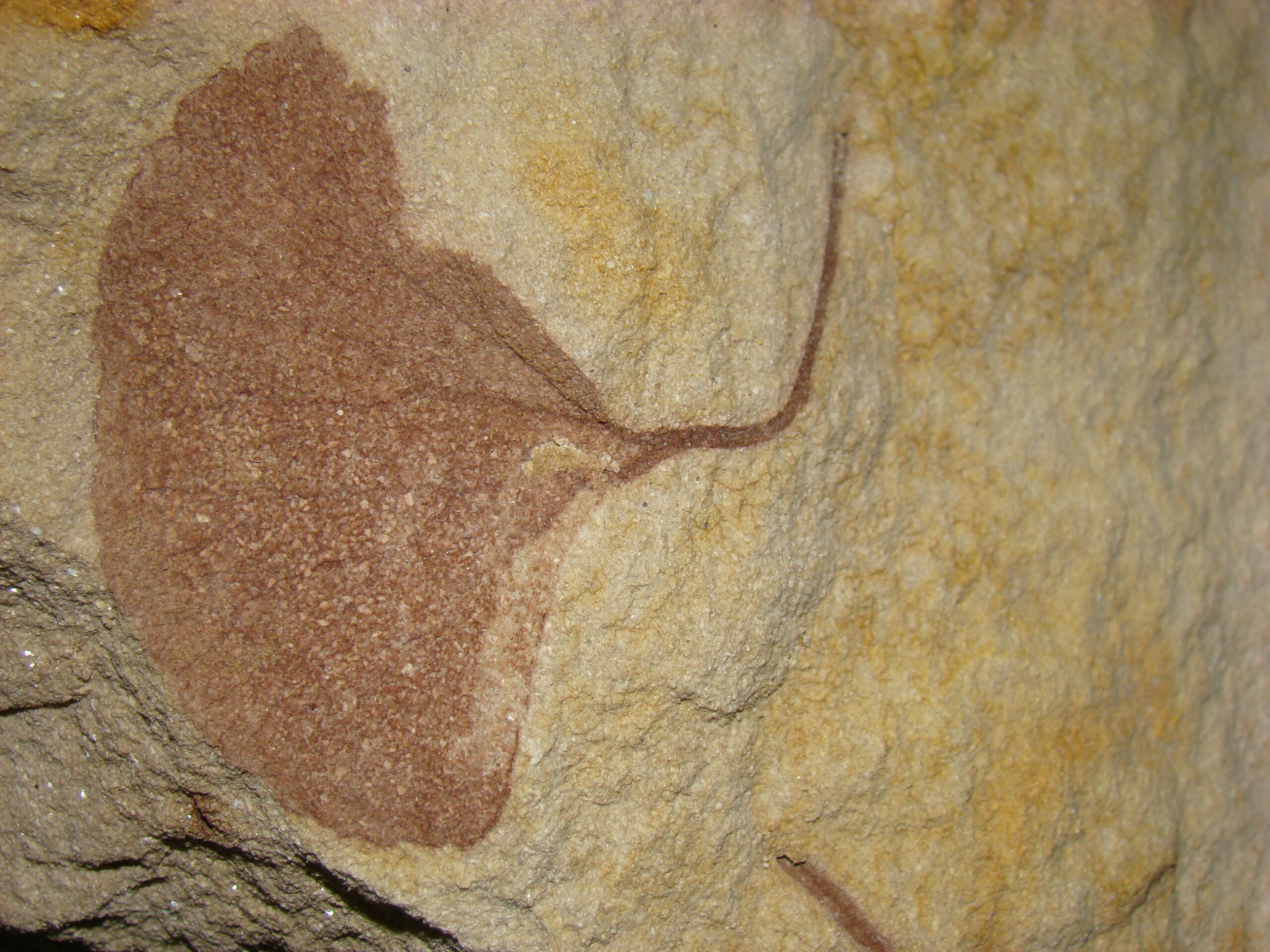 Estamos Verdes – ETC